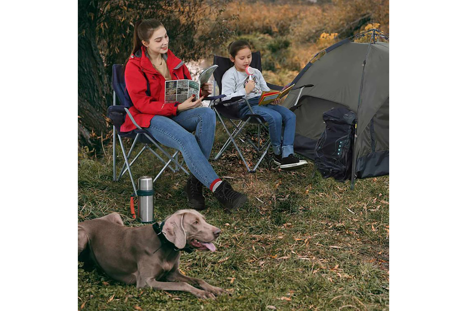 Songmics GCB01IN Camping Chairs | Set of 2 | Dark Blue | Ireland